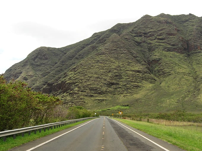 The Ko'olau Mountains stand like ancient sentinels guarding Kamehameha Highway, their emerald ridges creating nature's own cathedral ceiling above the road.