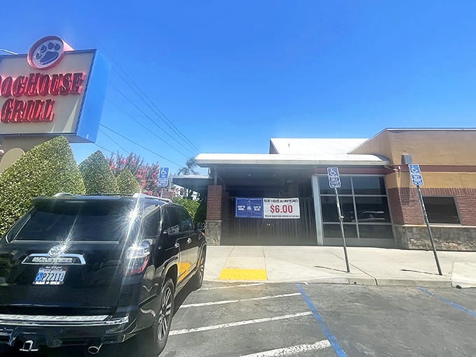 The iconic blue paw print sign beckons hungry travelers like a lighthouse for the gastronomically adrift. Your stomach's GPS has finally found its destination.