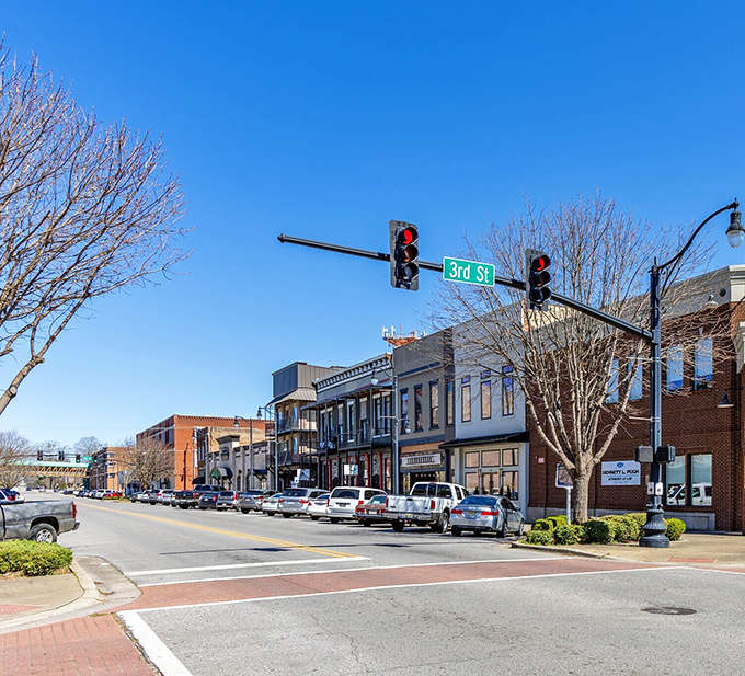 Winter-bare trees line Sheffield's historic downtown, where brick storefronts have witnessed decades of Alabama history while maintaining their small-town charm.
