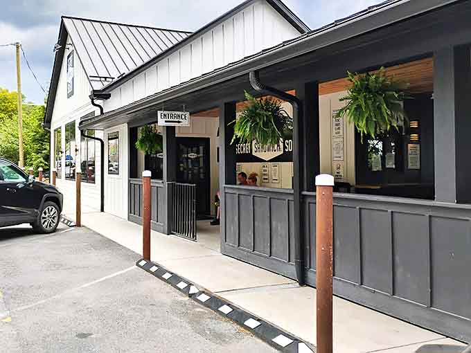 The modern yet welcoming entrance says "come on in" without saying a word. Those hanging ferns aren't just decoration&mdash;they're a preview of the fresh approach waiting inside.