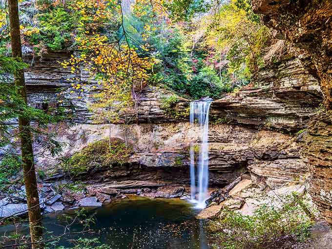 Nature's own infinity pool. This cascading waterfall at Savage Gulf creates the kind of swimming spot that makes resort designers weep with envy.