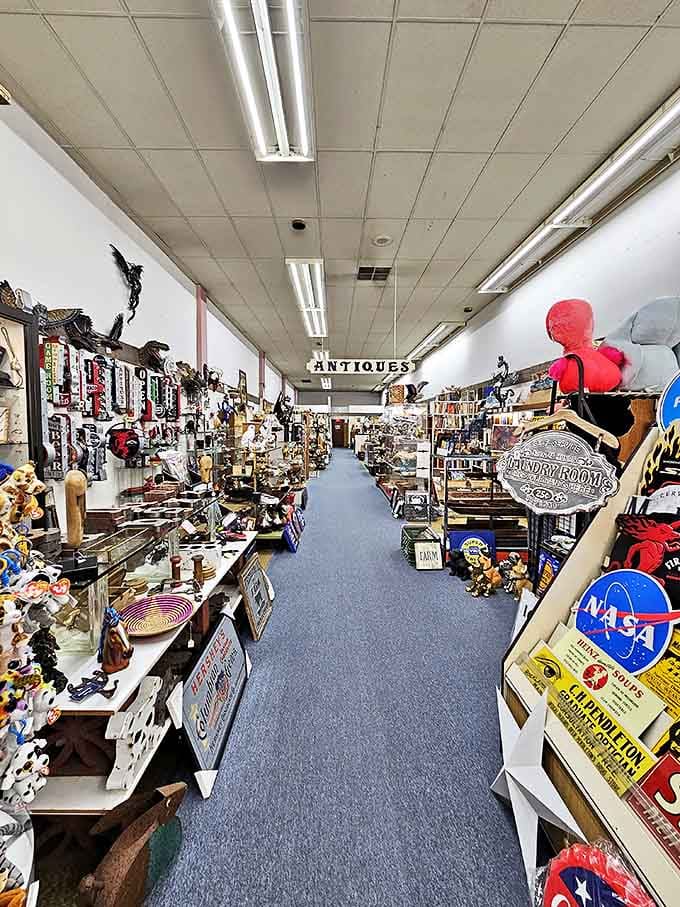 Step inside and the treasure hunt begins! Aisles packed with vintage finds create a labyrinth where time disappears faster than my willpower at a dessert buffet.