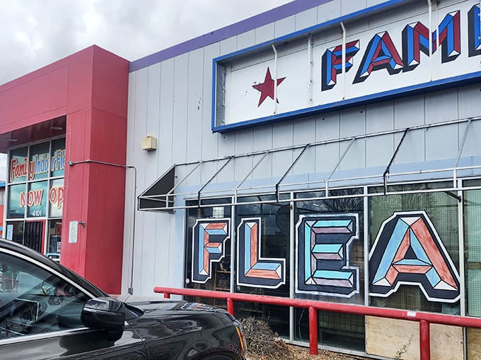 That iconic red-and-blue signage beckons like a retail lighthouse, guiding bargain hunters safely to shore through the sea of full-price retail options.