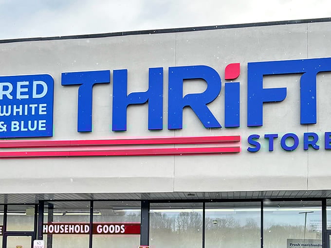 The bold blue lettering against stark white announces what lies within&mdash;a treasure trove where bargain hunters become archaeologists of America's material past.