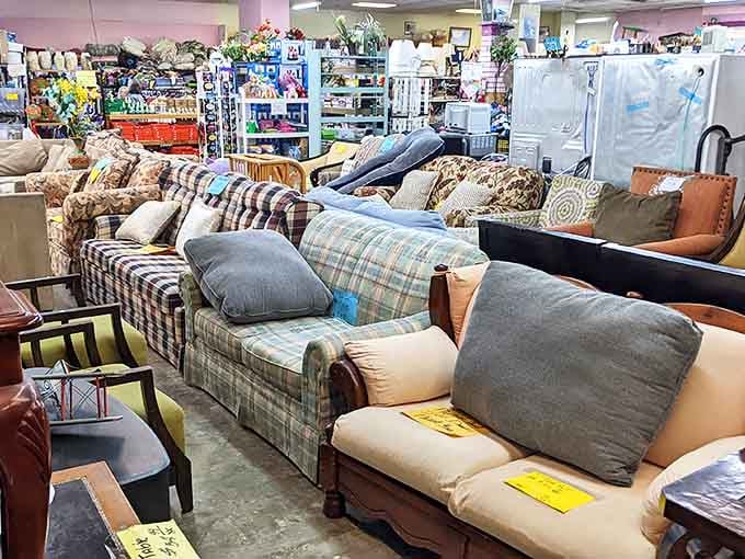 The couch lineup looks like a family reunion of seating options, each with stories to tell and naps to offer.
