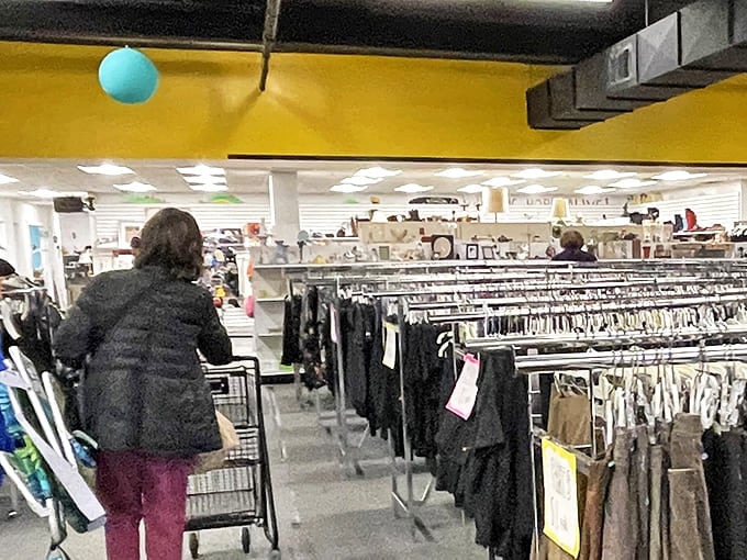 Rows upon rows of potential wardrobe upgrades await as a shopper navigates the clothing jungle &ndash; it's like Darwin's theory of retail evolution in action.
