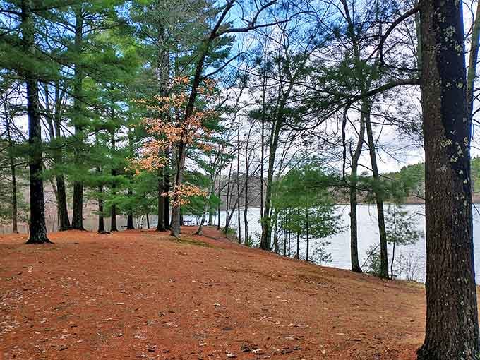 Nature's carpet of pine needles creates trails so soft you'll wonder why you bothered with hiking boots.