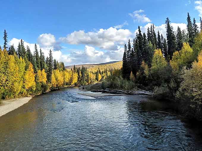 Mother Nature's masterclass in landscape painting. Those rolling hills and endless forests make you wonder if Bob Ross was secretly Alaskan.