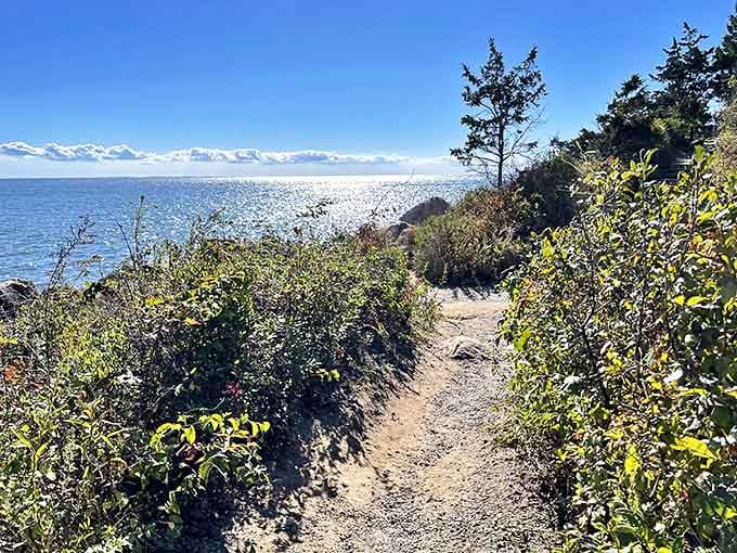 The path less traveled beckons with sparkling promises just beyond the greenery&mdash;Connecticut's version of "follow the yellow brick road" but with sand.