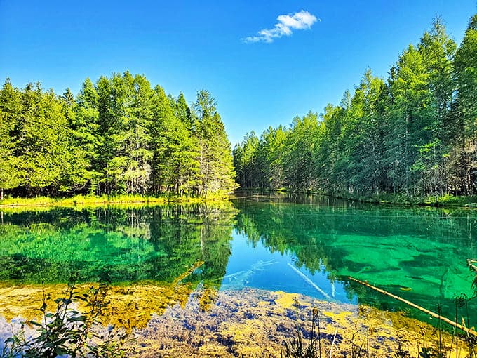 Mother Nature's Caribbean vacation spot in Michigan &ndash; emerald waters so clear you'll wonder if your GPS made a serious error.
