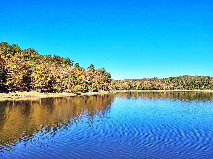 Fall's golden touch transforms Tishomingo's lake into nature's mirror, reflecting both the sky above and your suddenly relaxed state of mind.