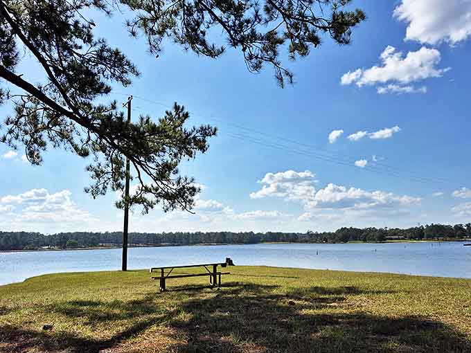 Morning light dances across Geiger Lake, turning ordinary Mississippi pines into nature's cathedral. This is serenity you can't bottle.