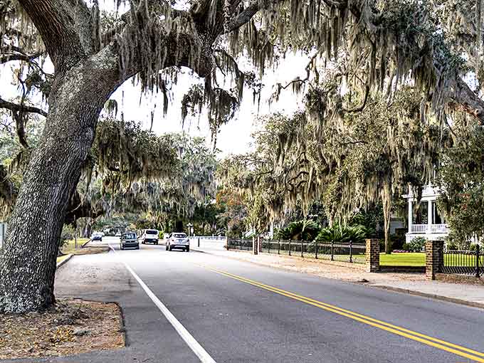 Spanish moss drapes ancient oaks along Bluffton's streets, creating the dreamy canopy that defines this Lowcountry gem.
