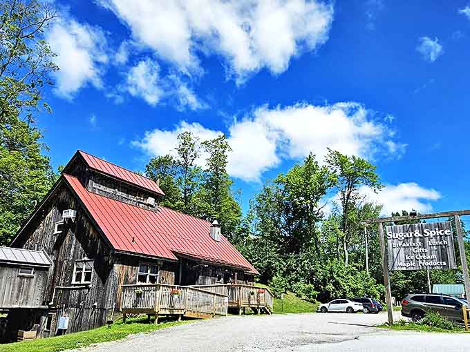 Vermont's quintessential sugar shack stands proud against a brilliant blue sky. This weathered barn with its distinctive red roof promises maple-infused delights within.