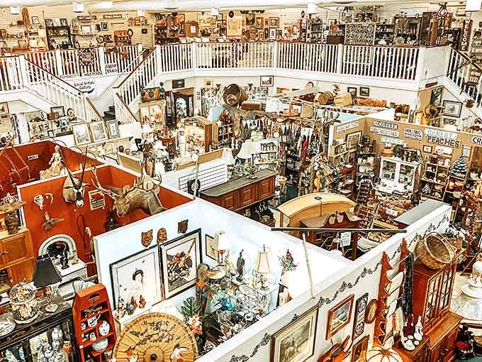 The ultimate treasure hunter's playground where every booth is its own universe of possibilities. Two floors of organized chaos that would make Indiana Jones trade his whip for a shopping cart