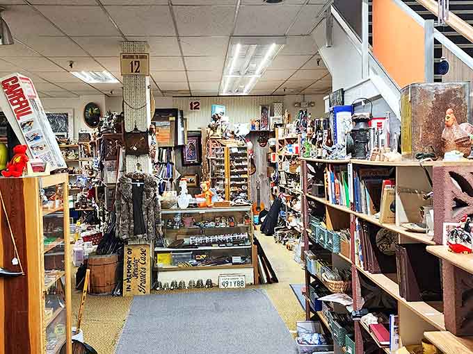 Organized chaos at its finest! From vintage books to collectible figurines, this is where Marie Kondo's minimalist philosophy comes to die a happy death.