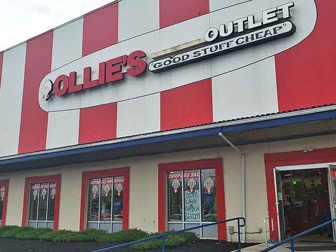 Up close with the iconic Ollie's signage, where the promise of bargains has created a cult following that rivals the most devoted sports fans.