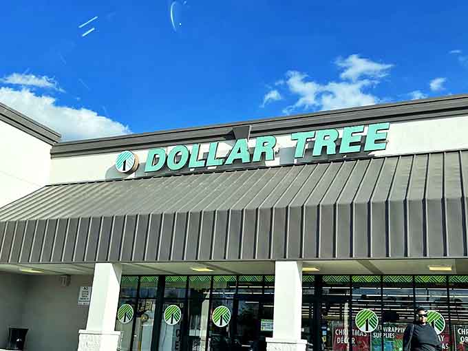 The iconic green Dollar Tree sign against a blue Carolina sky &ndash; where budget dreams take flight and wallets breathe easy.