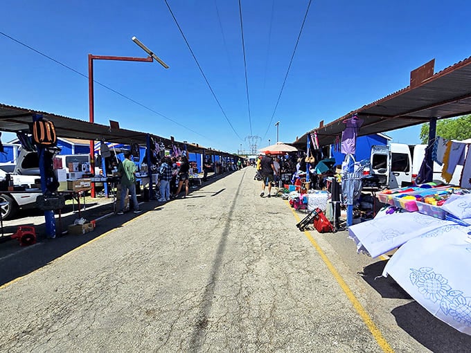 Endless rows of vendor stalls stretch like a treasure hunter's dream come true under Texas skies.