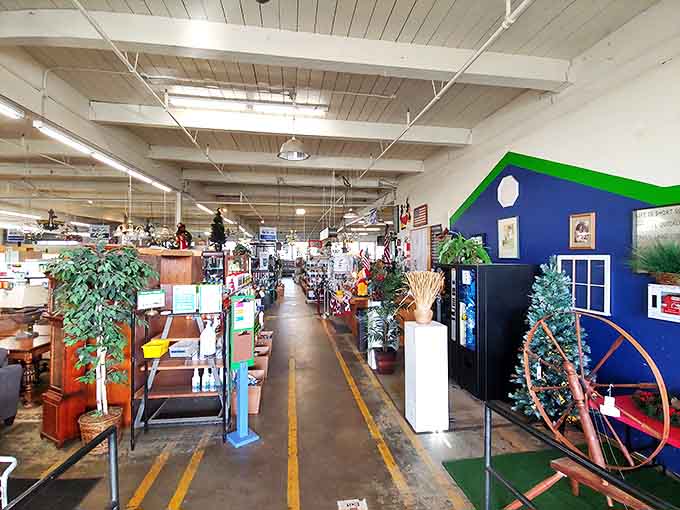Step inside and the adventure begins! Wide aisles lead you through a wonderland of pre-loved treasures, with holiday decorations making surprise appearances year-round.