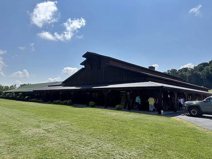 From this angle, The Farmer's Daughter looks like what would happen if a barn decided its true calling was making people unbuckle their belts.