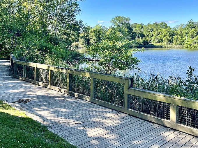 This wooden boardwalk isn't just a path&mdash;it's front-row seating to Louisiana's greatest nature show, complete with a soundtrack of chirping birds and rustling leaves.