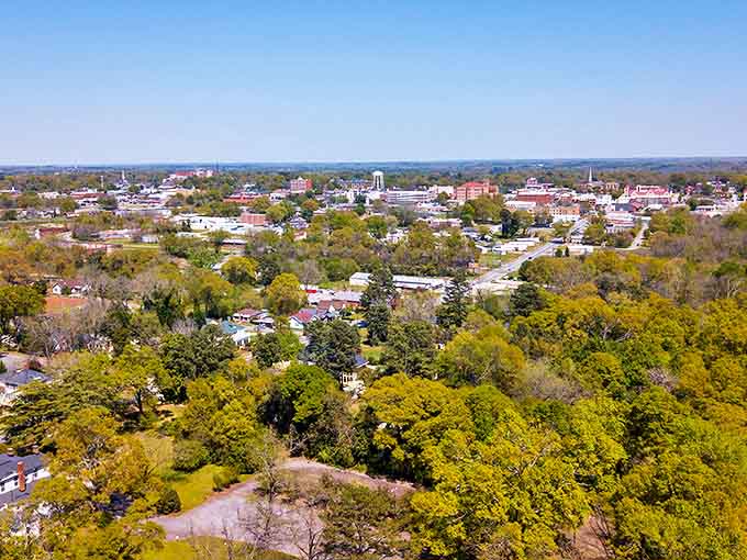 Anderson's tree-lined cityscape unfolds like a patchwork quilt of neighborhoods, historic buildings, and green spaces &ndash; affordable living with a view worth far more than the rent.