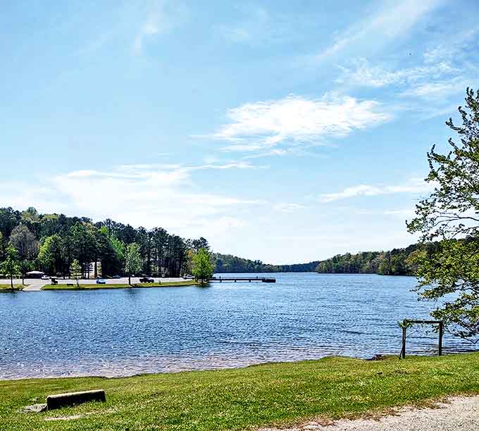 The view that makes you forget your inbox exists &ndash; Lake Lurleen's expansive waters framed by Alabama's lush greenery is nature's stress antidote.