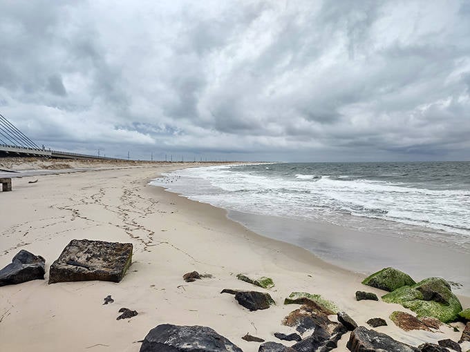 Dramatic skies meet untamed shoreline where mossy rocks and gentle waves create Delaware Seashore's signature wild coastal landscape.