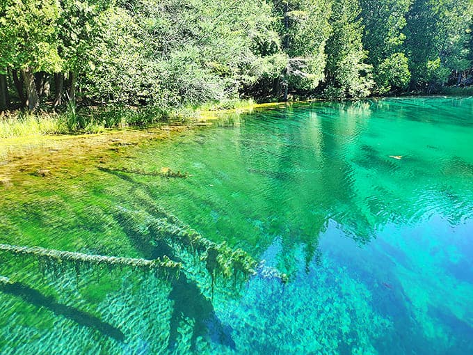 The spring's otherworldly turquoise hue makes you question reality. Is this Michigan or did we accidentally teleport to Bora Bora?