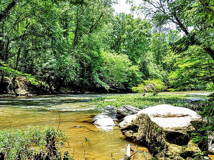 Bear Creek's crystal waters wind through the park like nature's own lazy river, minus the artificial current and overpriced snack bar.