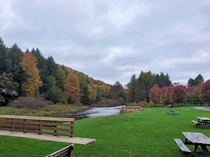 Riverside picnic areas that prove sometimes the best restaurant view doesn't come with a reservation or a hefty check&mdash;just a cooler and good timing.