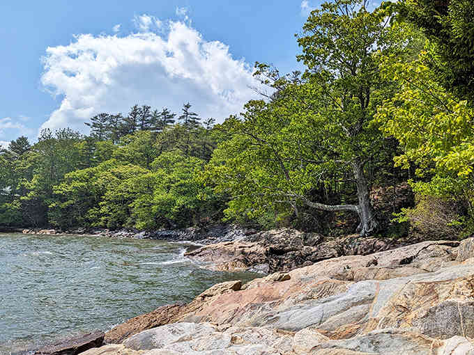 Those rocky ledges have witnessed more sunrises than you've had hot breakfasts, and they're not tired yet.