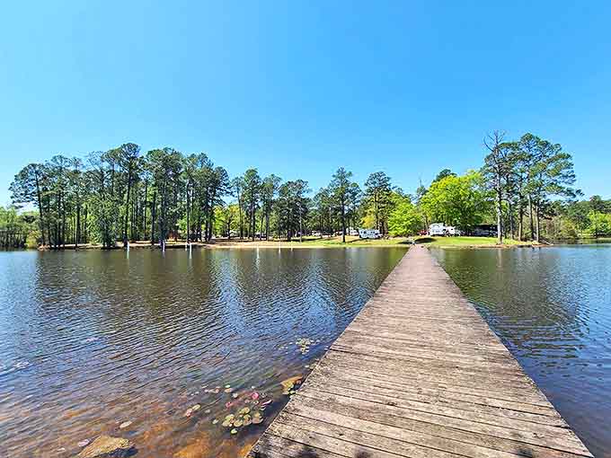 The wooden pier stretches toward forever, inviting you to walk its planks and leave your worries on the shore. Pure Mississippi serenity awaits.