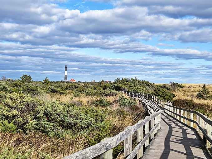 The iconic Fire Island Lighthouse stands sentinel in the distance, a black-and-white beacon guiding visitors through a sea of coastal vegetation and wooden boardwalks.