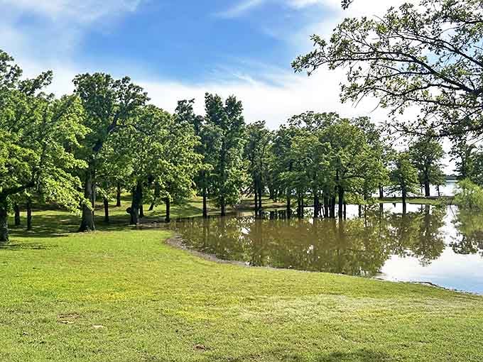 Trees standing ankle-deep in their own reflections, creating nature's perfect mirror image. This tranquil corner of Lake Thunderbird practically whispers "come sit awhile."