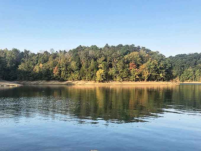 Cherokee Lake's mirror-like surface perfectly captures autumn's palette, creating nature's own Impressionist masterpiece that Monet would envy.