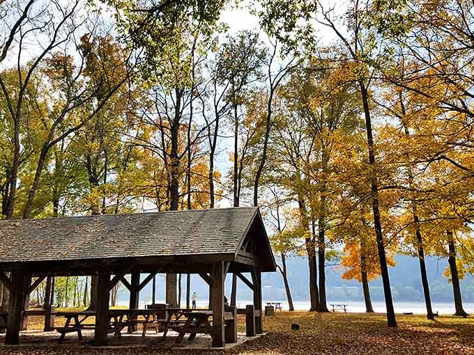 Fall's golden touch transforms this picnic shelter into the world's most perfect lunch spot. Michelin stars? No, but something infinitely better.