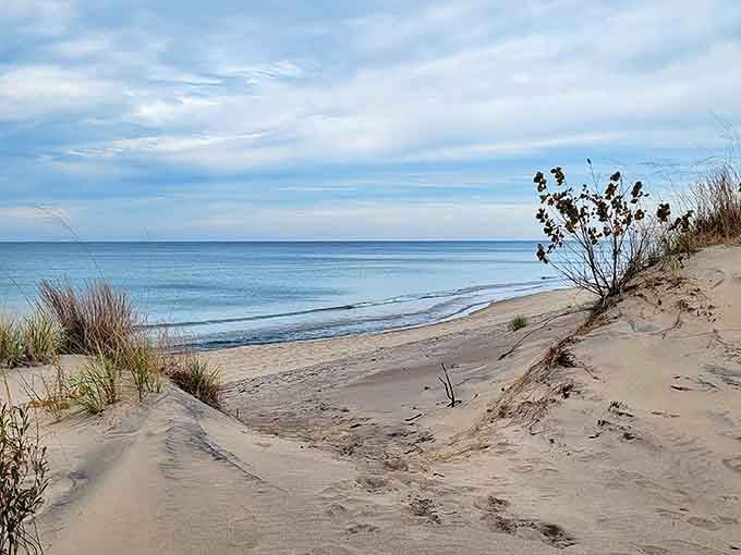 Where dune meets shoreline in a perfect marriage of textures. Mother Nature's version of "the path less traveled" leads straight to tranquility.
