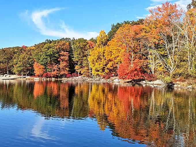 Fall's masterpiece on display at Harriman State Park, where the trees don't just change color &ndash; they throw a full-blown autumn extravaganza reflected in nature's mirror.