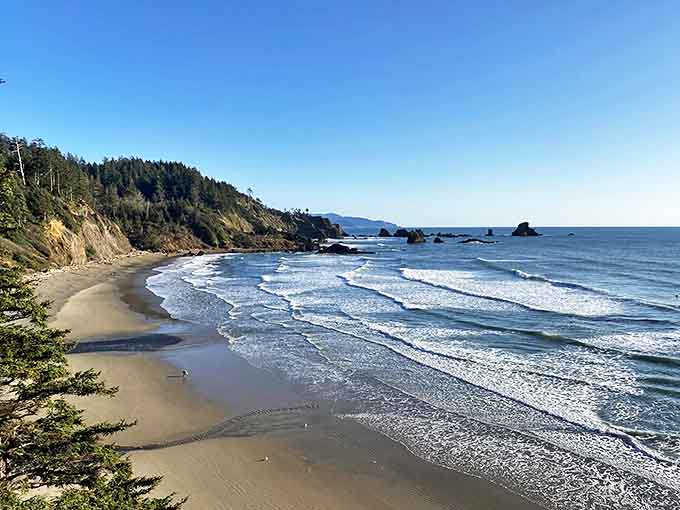 Where the forest meets the sea in perfect harmony. This sweeping view of Indian Beach captures Oregon's coastal magic in one frame.