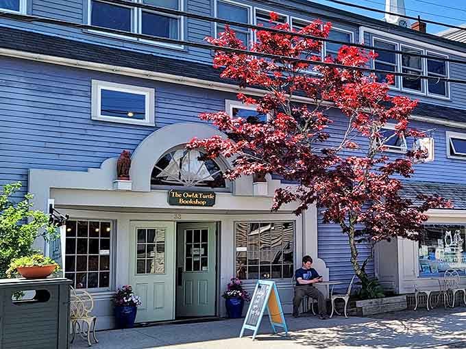 That Japanese maple isn't just showing off&mdash;it's nature's way of saying "slow down, there are stories inside."