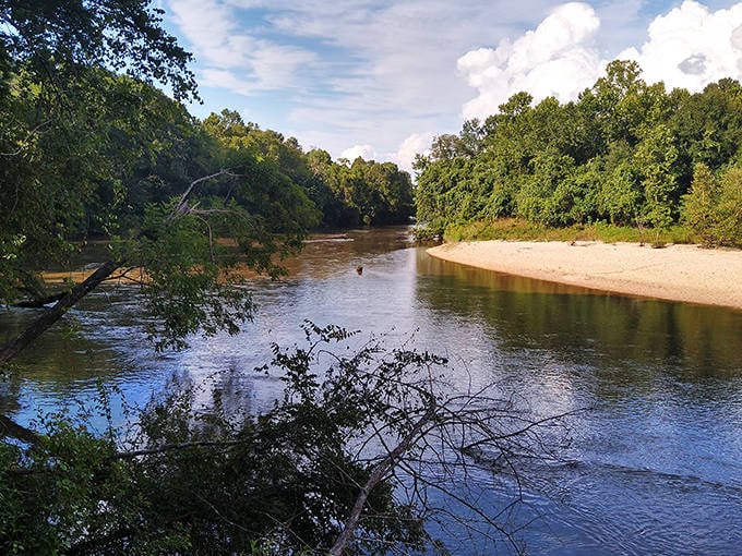 Mother Nature's perfect postcard: sandy beaches meet forest-lined waters where the Bogue Chitto River curves gracefully through the landscape like a blue ribbon.