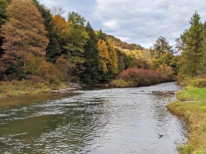 The East Branch of the Clarion River in autumn glory&mdash;nature's own masterpiece that makes even Bob Ross's happy little trees seem understated.