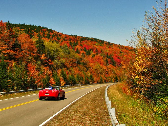 Fall's fiery palette creates nature's perfect tunnel of color, making even a sporty red convertible seem understated by comparison.