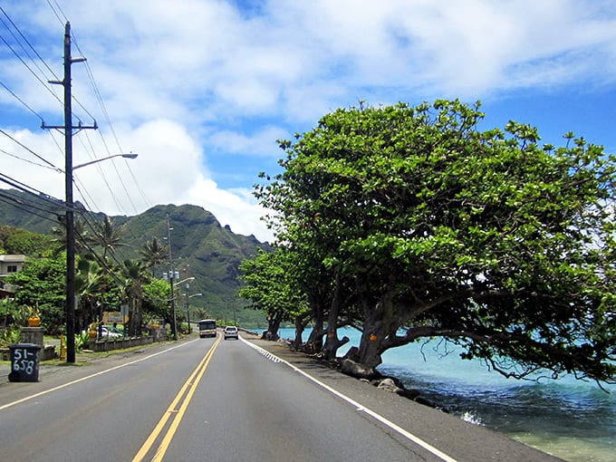 Small coastal communities dot the highway's path, where ancient mountains meet turquoise waters under the watchful shade of tropical trees.