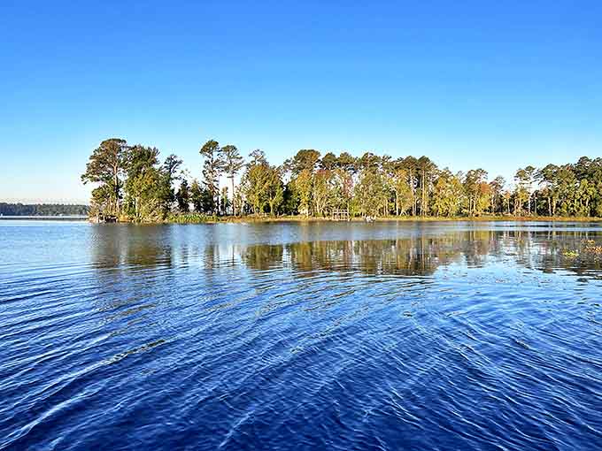 The glassy waters of Caney Lake mirror the towering pines, creating nature's perfect infinity pool. Louisiana serenity at its finest.