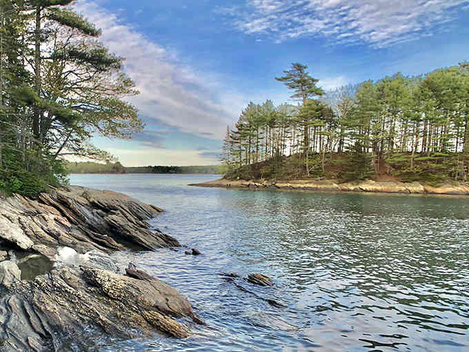 This view comes with a lifetime warranty and never needs software updates to keep working perfectly.