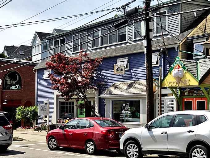 Downtown Camden's literary heart beats blue, with the Owl & Turtle standing proudly among its coastal neighbors.