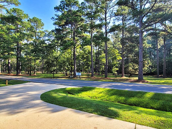 Nature's perfect landscaping job &ndash; towering pines create a cathedral-like entrance to Moro Bay State Park, where serenity comes standard with every visit.